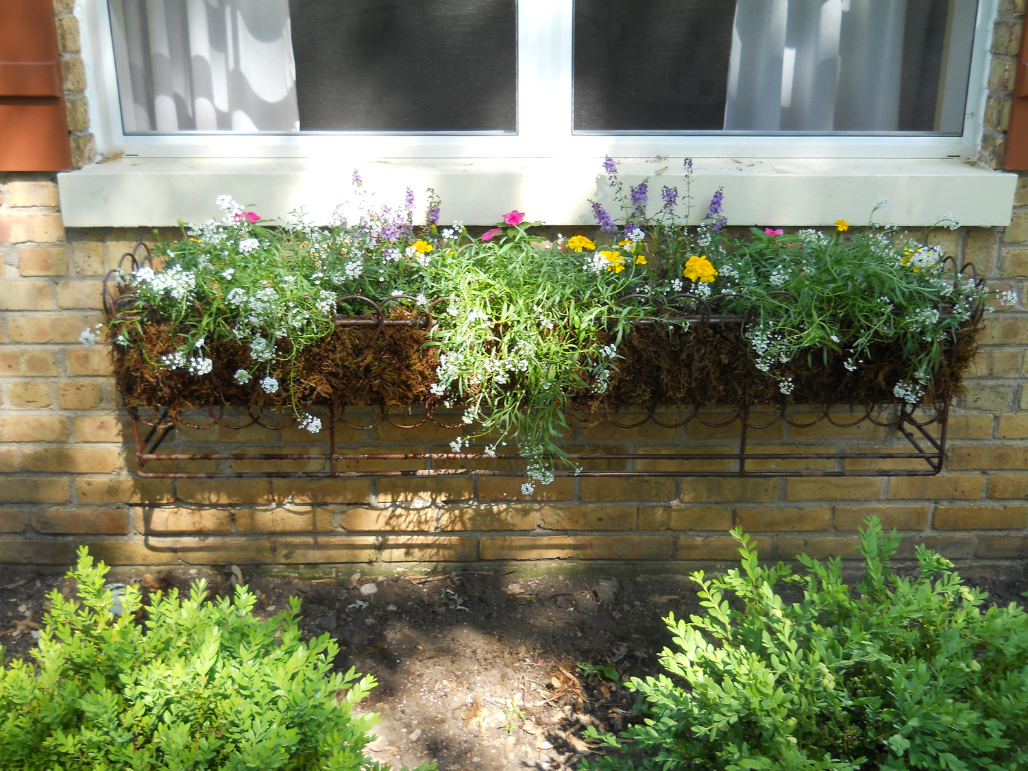 61" Heavy Wrought Iron & Tin Windowbox