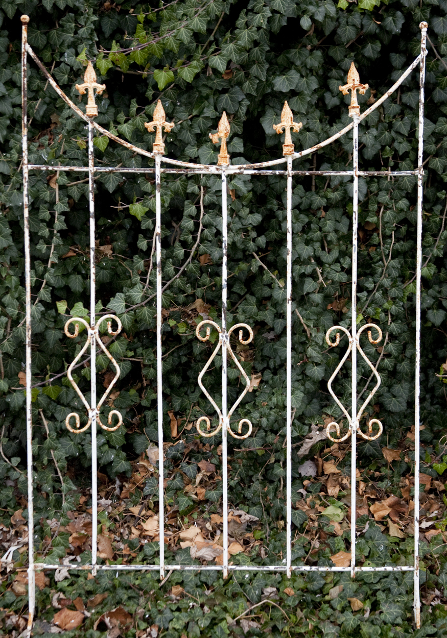 Decorative Iron Trellises | Shelly Lighting