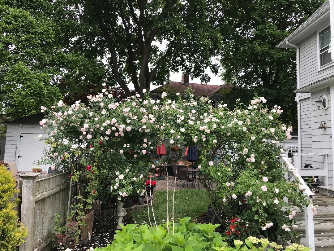 84" Wrought Iron Double Wide Mission Arbor