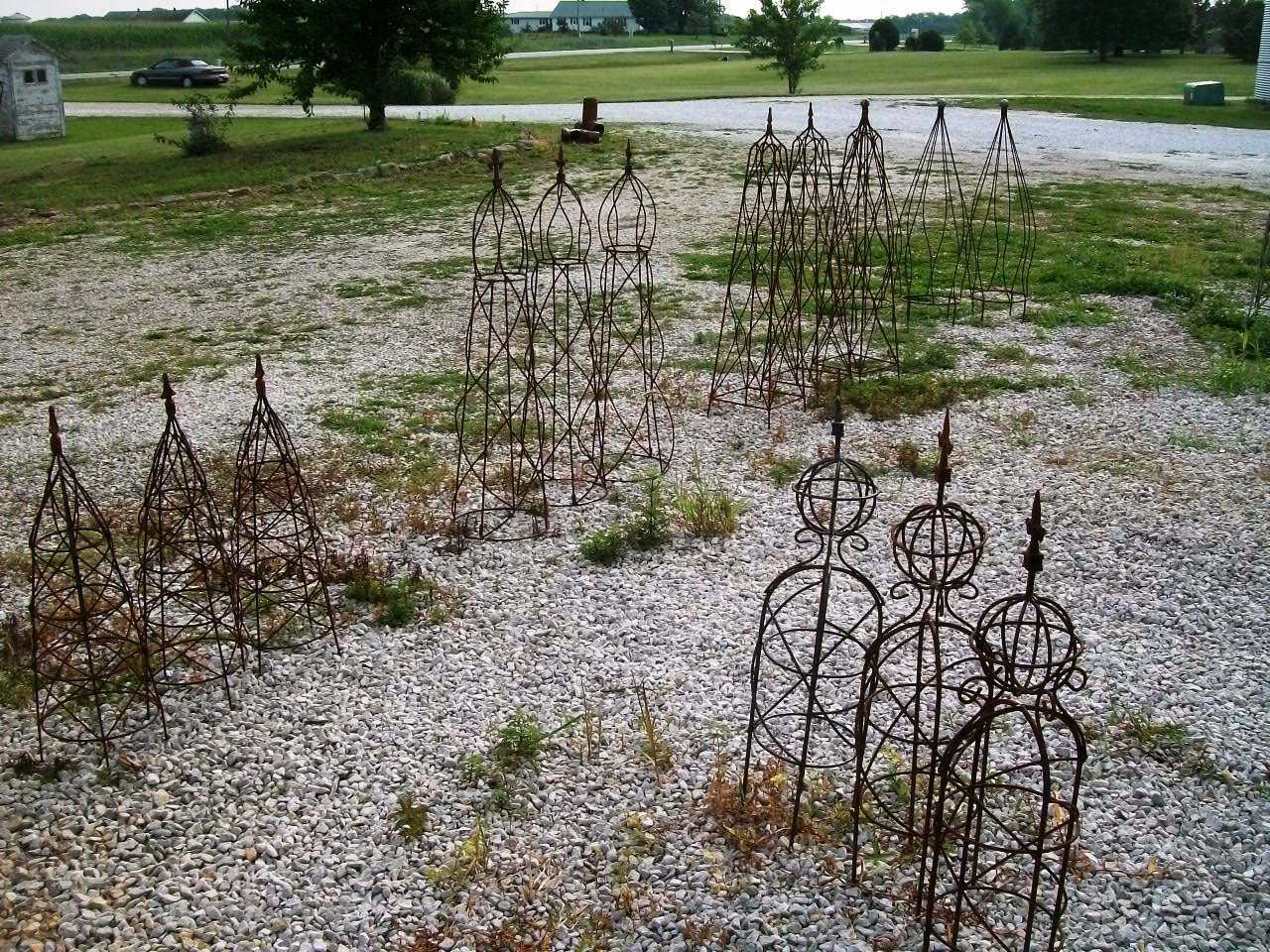 Assortment of our Wrought Iron Topiaries