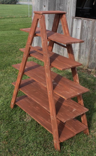 Choose Your Color Double Sided 6 Step Ladder Shelf
