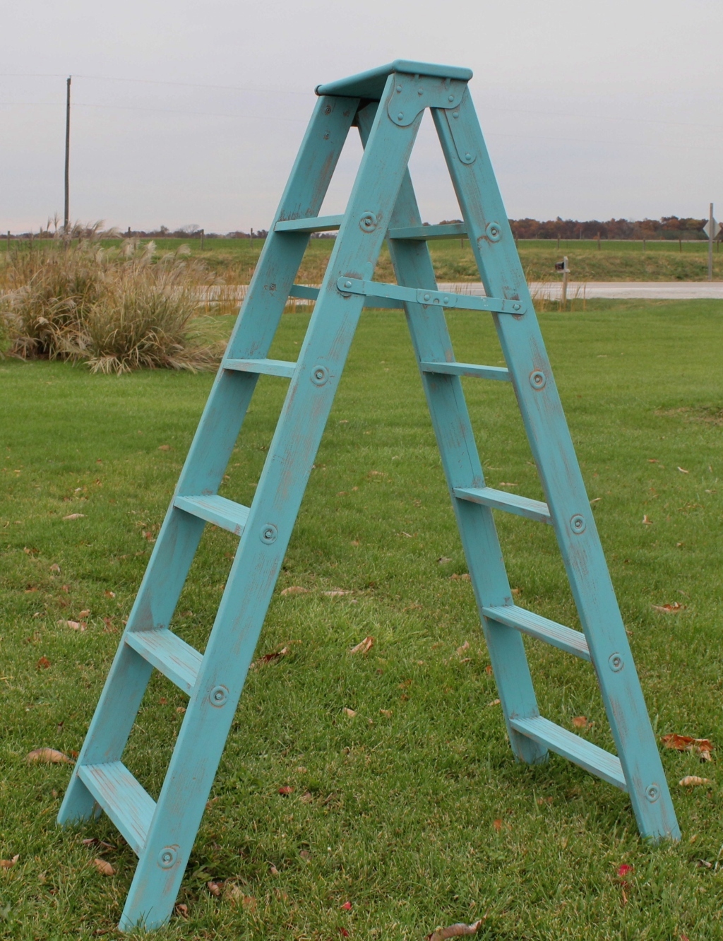 Choose Your Color Double Sided 6 Step Ladder Shelf