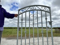 Curly Donovan Metal Yard Gate