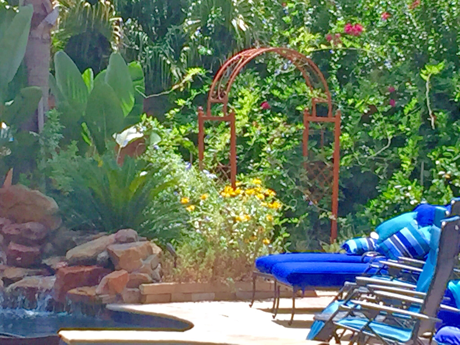 Customer Project : Cinnamon Skyview Arbor - Bright Color