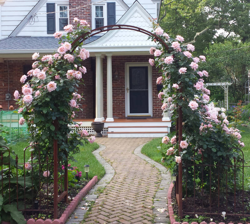 Customer's Arbor Covered In Flowers