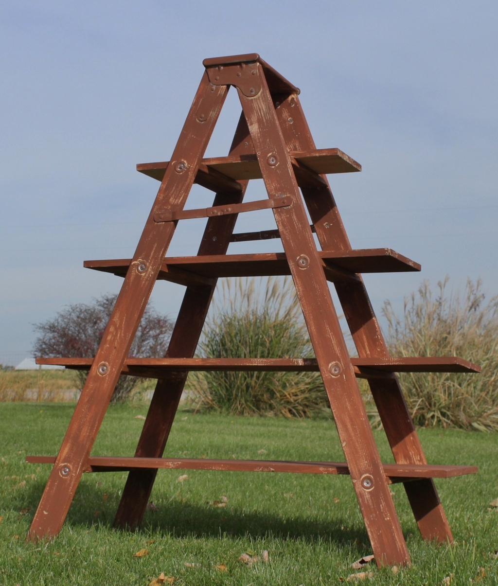 Double Sided Wooden 5 Step Ladder Shelving Frame