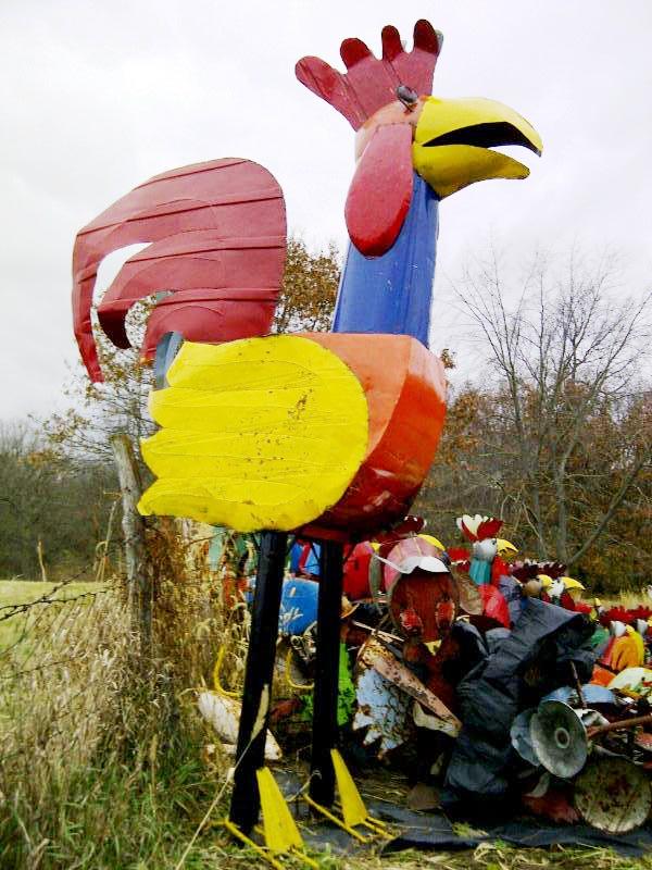 Gigantic Barn Yard Fowl - The Biggest Rooster Ever Made!