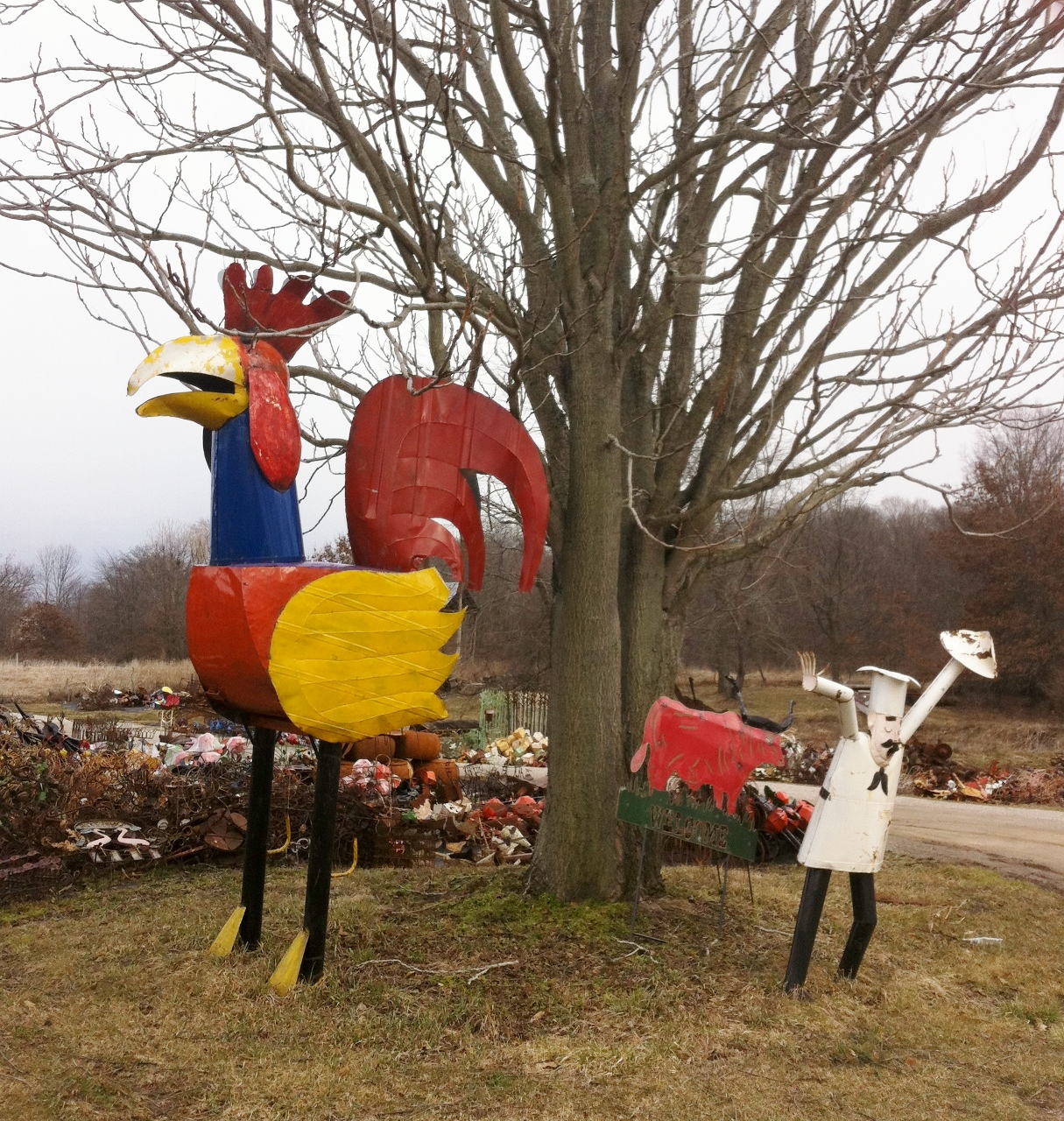 Gigantic Barn Yard Fowl - The Biggest Rooster Ever Made!