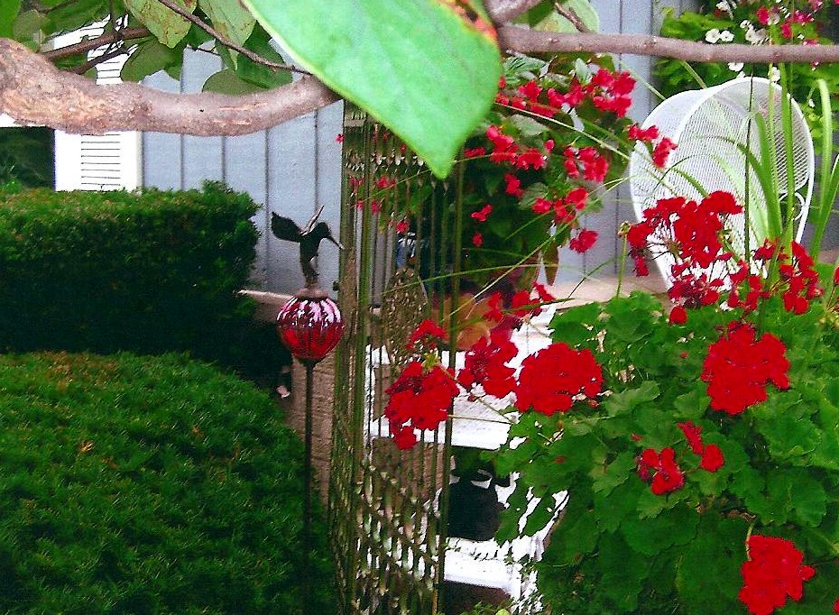 Hummingbird Garden Stake in Customers Garden