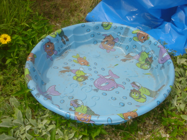 Instructions to Building a Fountain