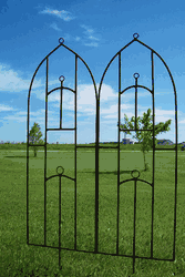 Large Iron Cathedral Arch Plant Trellis