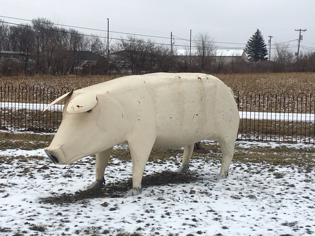 Metal Life Size Pig Swine