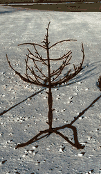 Medium Wrought Iron Tree - Large Decor