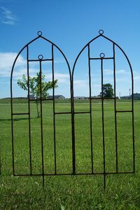 Medium Iron Cathedral Arch Garden Trellis