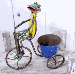 Metal Frog on a Tricycle with Flower Pail Decorative Pot Container
