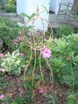 Metal Pumpkin Ball Topiary w/ Finial Top