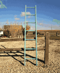 7 Rung Rustic Painted Wooden Antique Ladders