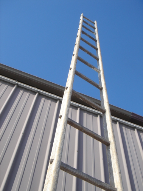 Old Beveled Rung Apple Ladders OUT OF STOCK