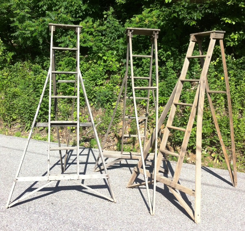 Old Vintage Orchard Apple Ladder from Michigan