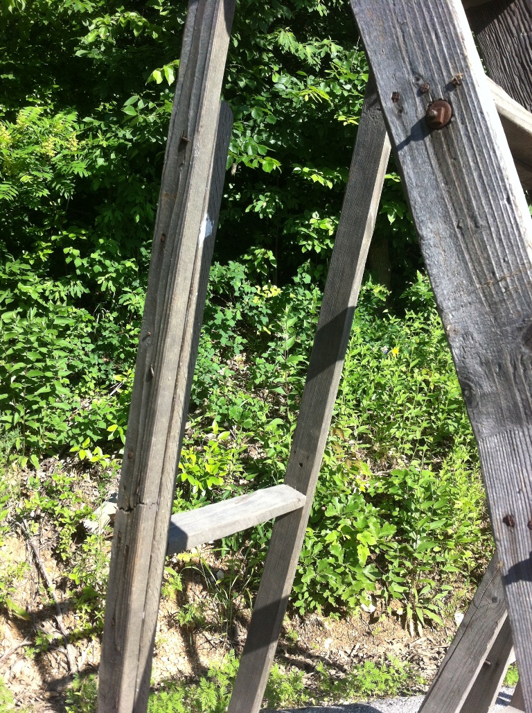 Old Vintage Orchard Apple Ladder from Michigan