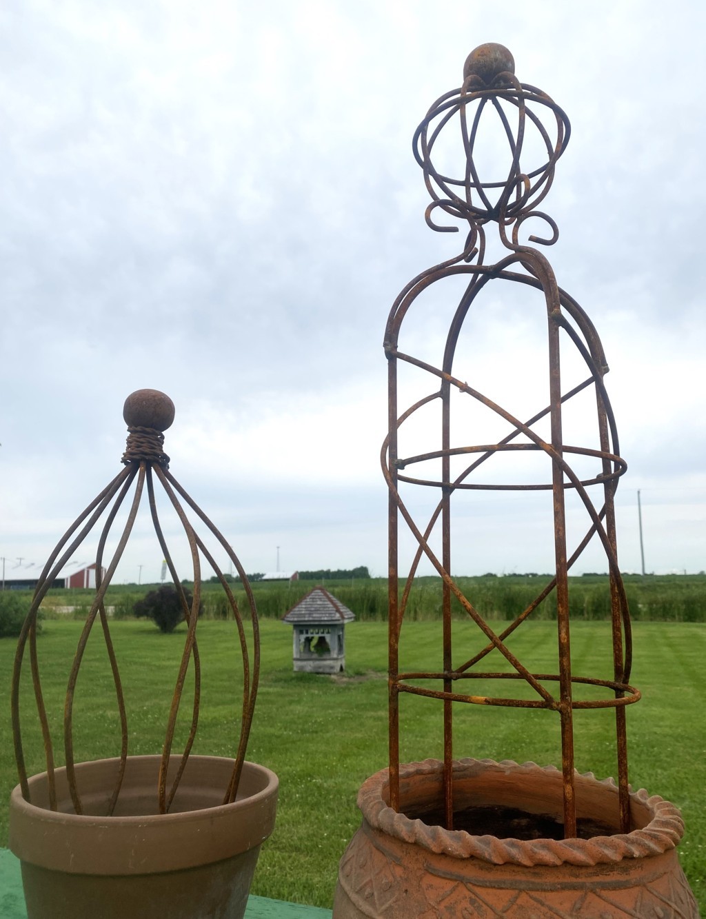 Our Topiaries Shown in Pots