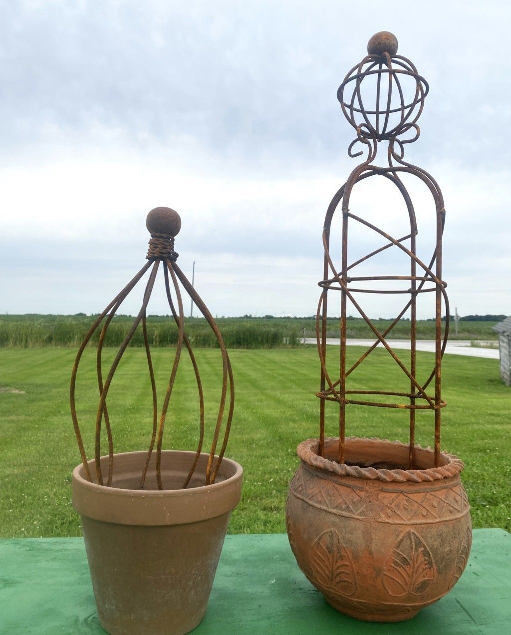 Our Topiaries Shown in Pots