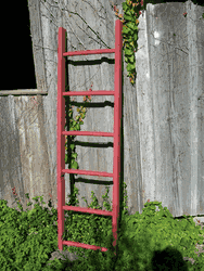 Painted Vintage Red Ladder in All Sizes