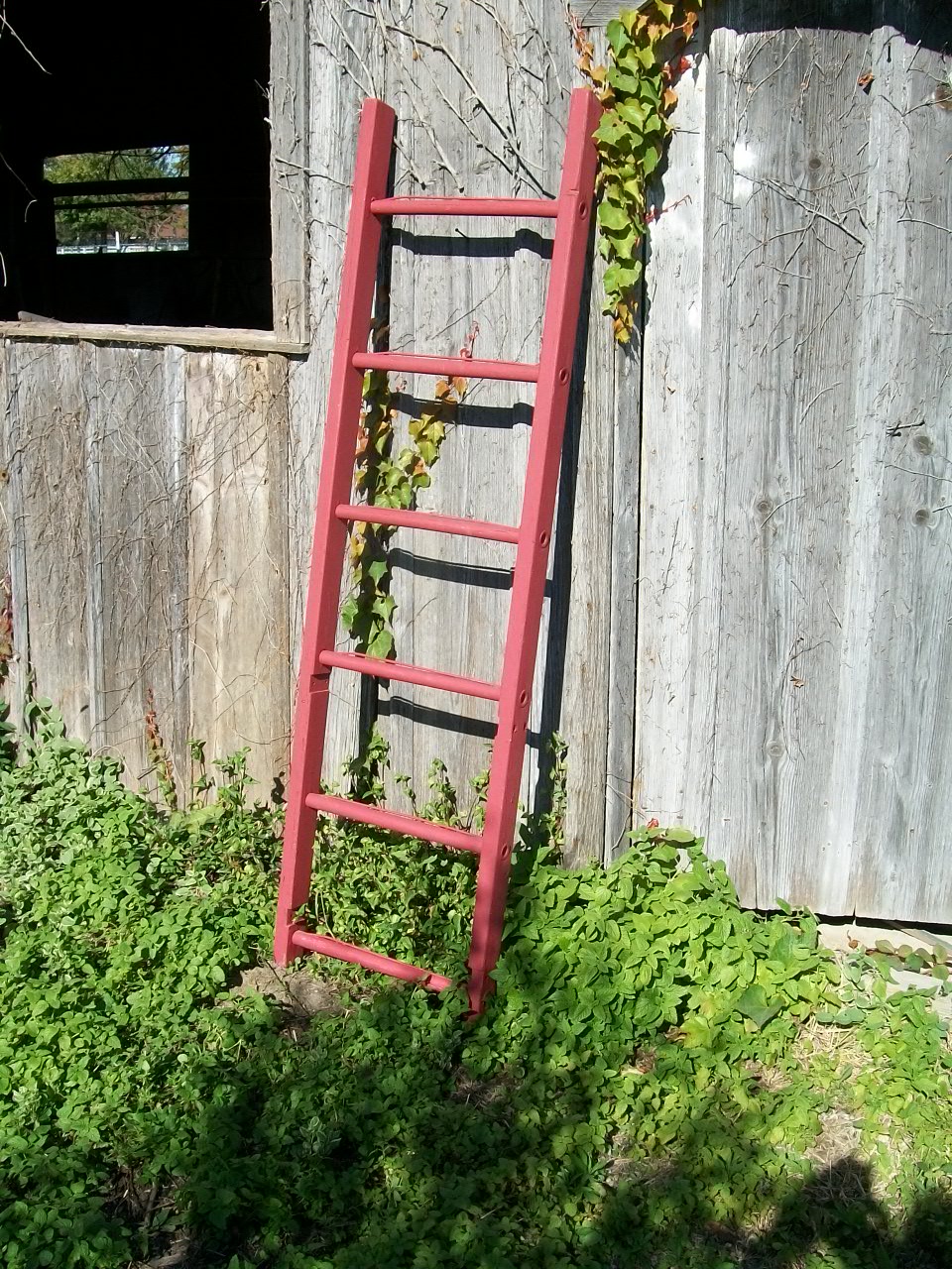 Painted Vintage Red Ladder in All Sizes