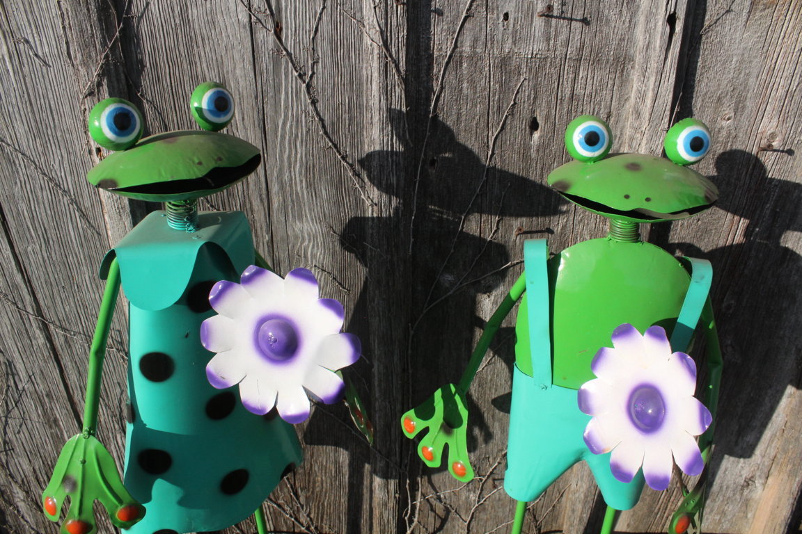 Fern and Fergie Frogs