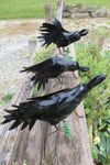 Recycled Metal 3 Crows Yard Art Lawn Decor