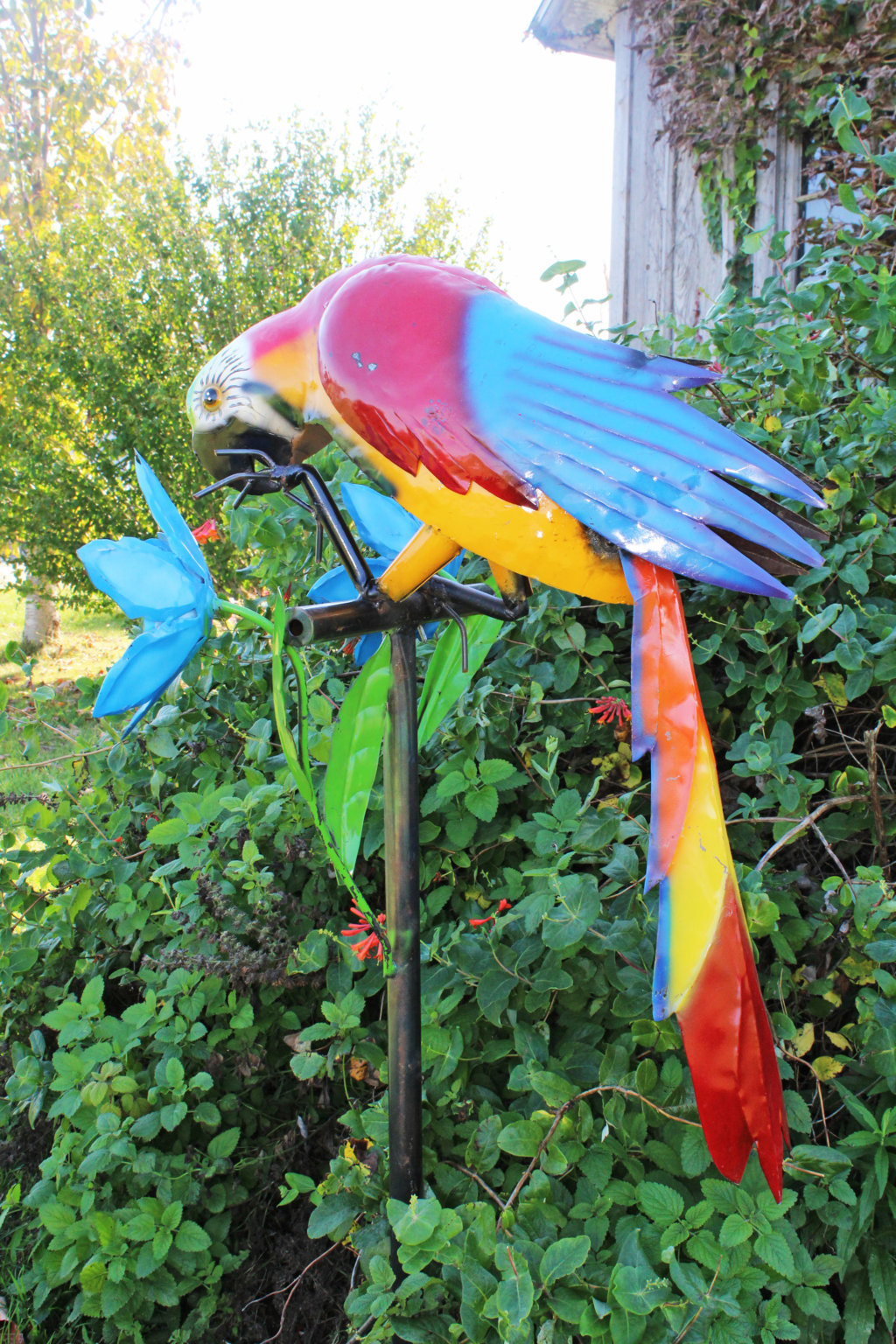 Recycled Metal Colorful Parrot Bird Yard Art