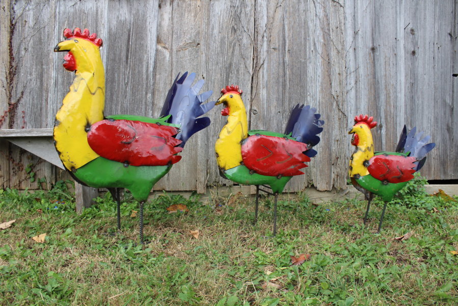 Recycled Metal Hens - Female Chickens For Sale
