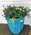 Rustic Chandler Pottery - Landscape Garden Flower Planters