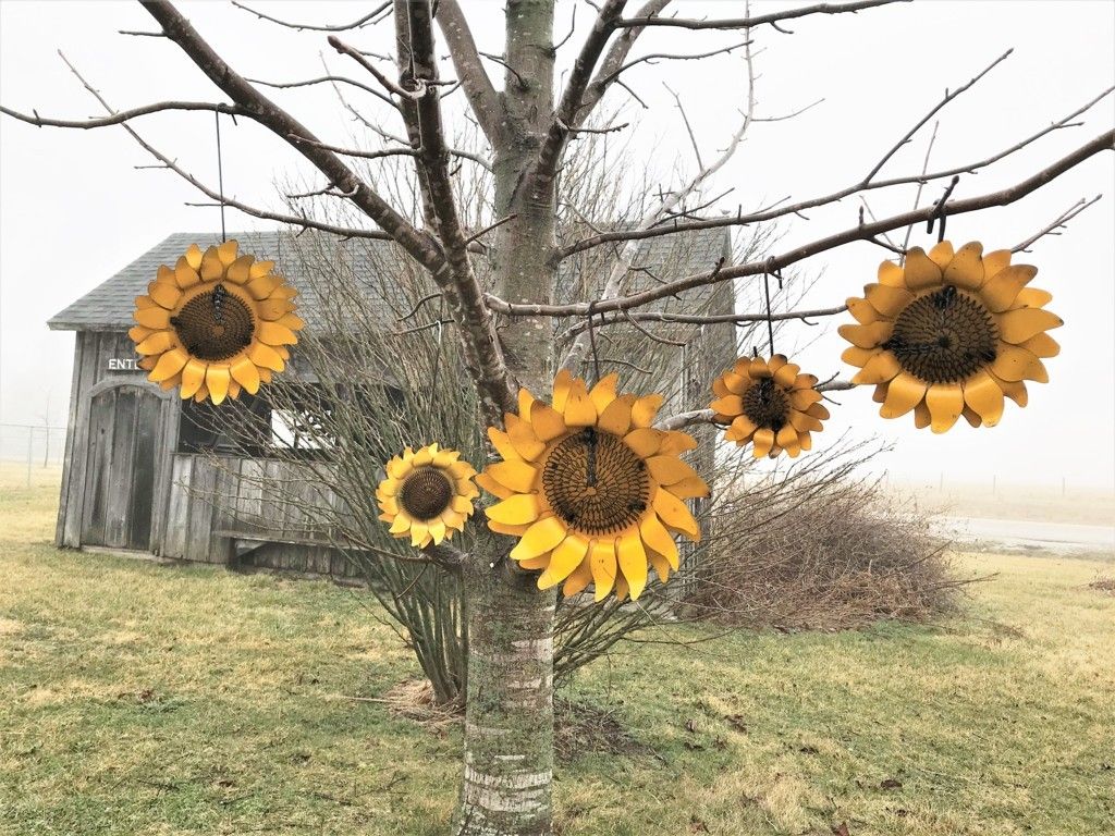 Rustic Tin Sunflower Wall Art 4 Sizes