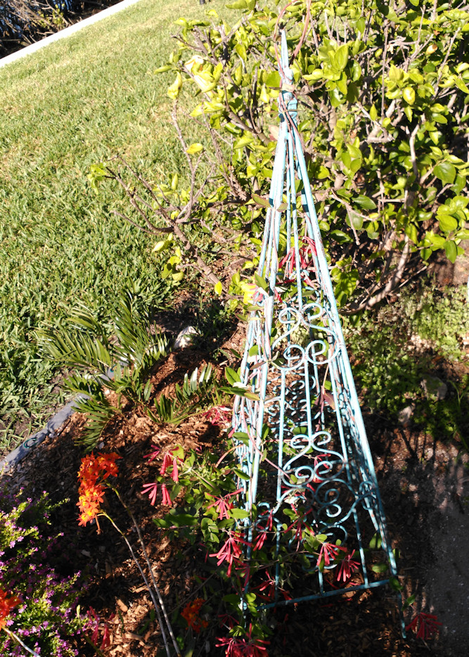 Small Metal Scroll Garden Plant Trellis - 32" Tall