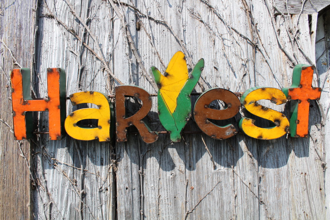 Small Recycled Metal Harvest Sign Fall Wall Decor