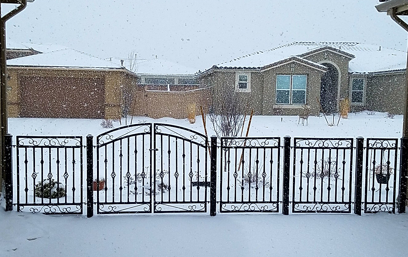 Snowy Winter Scene With Donovan Gates - Fence