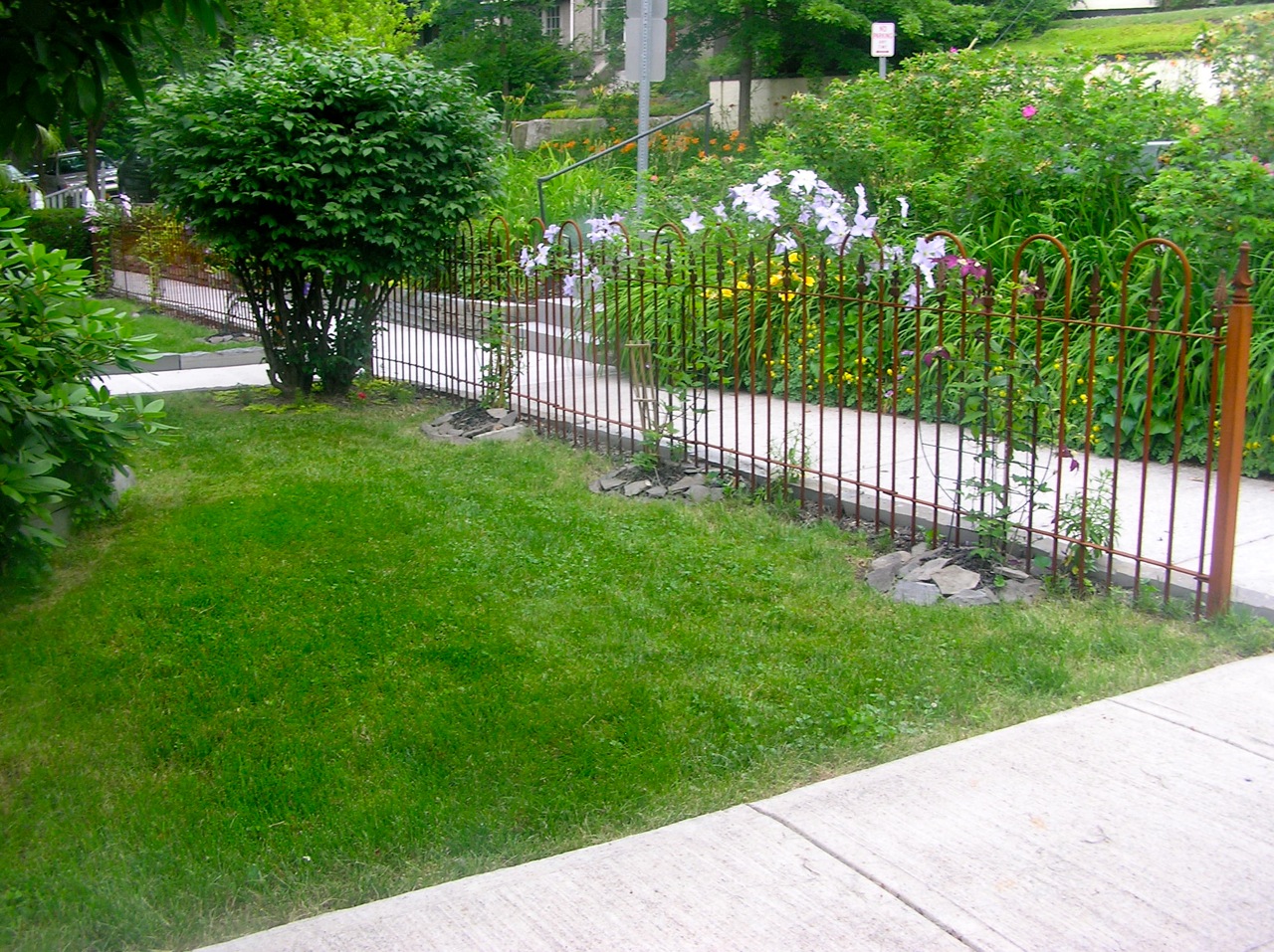 Spike Finial Style 3' Tall Fencing