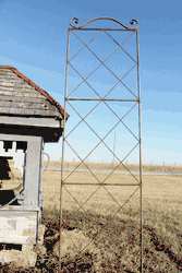 Wrought Iron Tubular Tabitha Trellis Plant Support