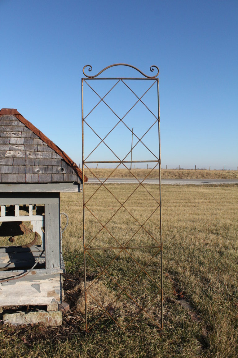 Wrought Iron Tubular Tabitha Trellis Plant Support