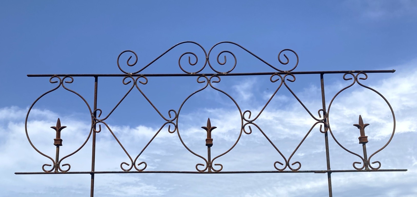 Turnip Metal Border Fencing