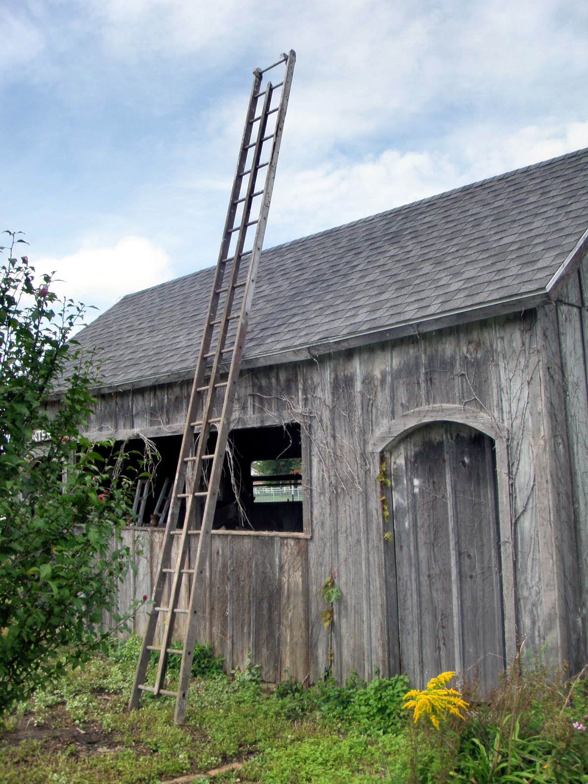 Unusual Wooden Ladders - All Sizes
