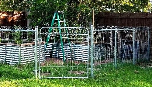 All Gates - Woven Wire Double Loop Garden Entry or Trellises