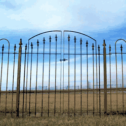 Wrought Iron 4' foot tall Center Divide Gate