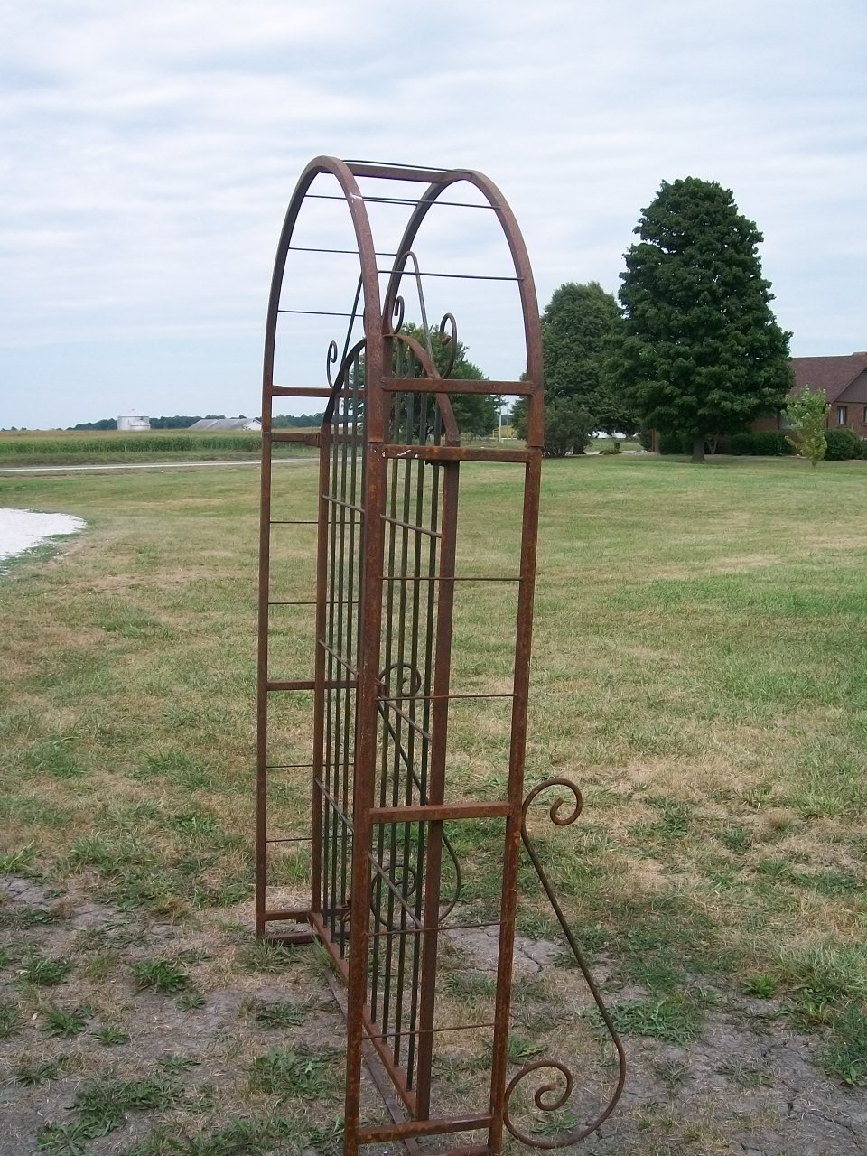Wrought Iron 6' Arbor Gate Combo - Vintage Garden Arch
