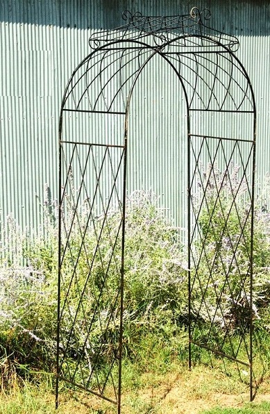 Wrought Iron Berrington Arbor - Metal Arch
