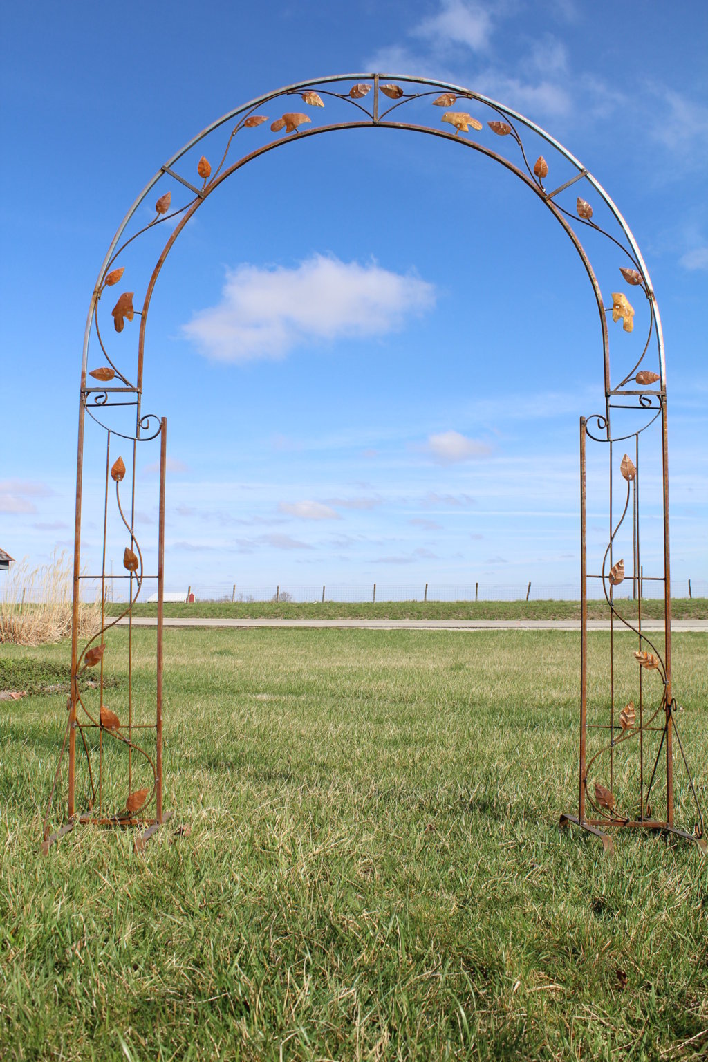 Wrought Iron Bird Arbor Garden Trellis