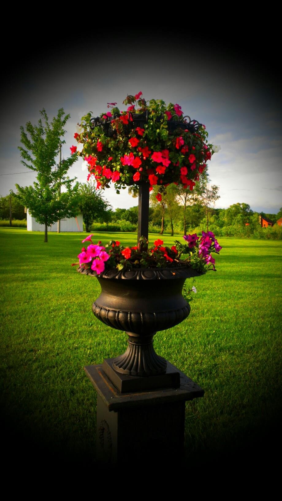 Wrought Iron Georgian Border Column Flower Baskets