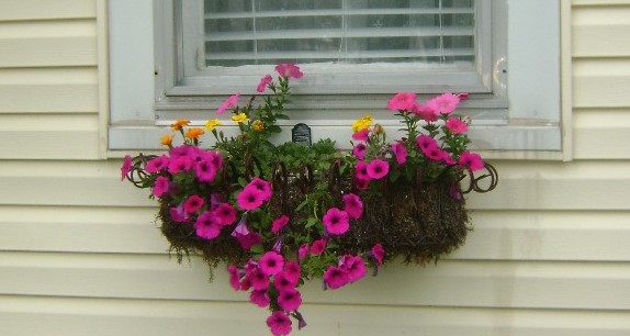 Wrought Iron Country Wire Window Boxes
