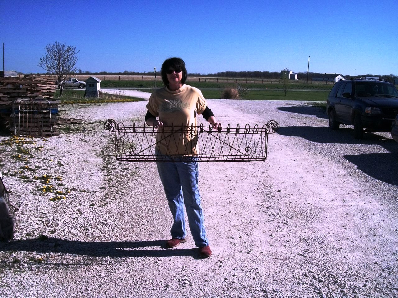 Wrought Iron Country Wire Window Boxes